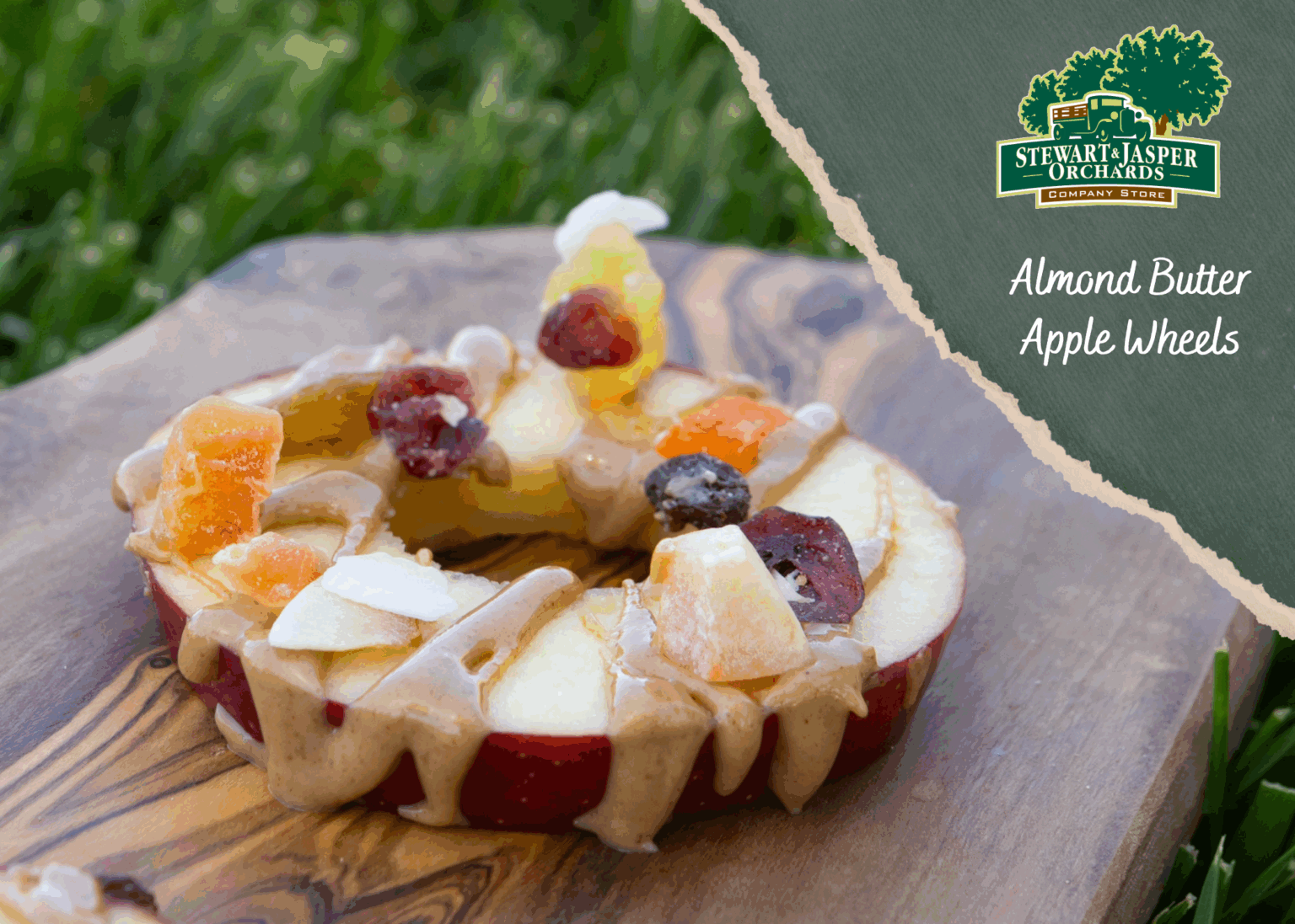 Almond Butter Apple Wheels - Stewart and Jasper Orchards